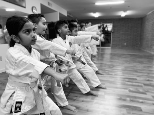 Welcome to Phoenix Shotokan Karate Dojo Members and Enrollment Page